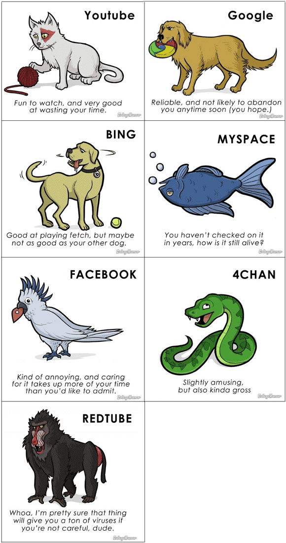 Really Funny Pictures - Smile With Glee!: If Websites Were Pets!