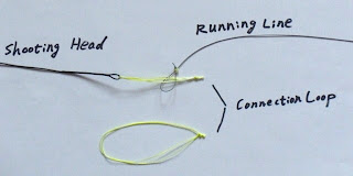 Surf Fly Fishing: A Convenient Way to Connect the Shooting Head with ...