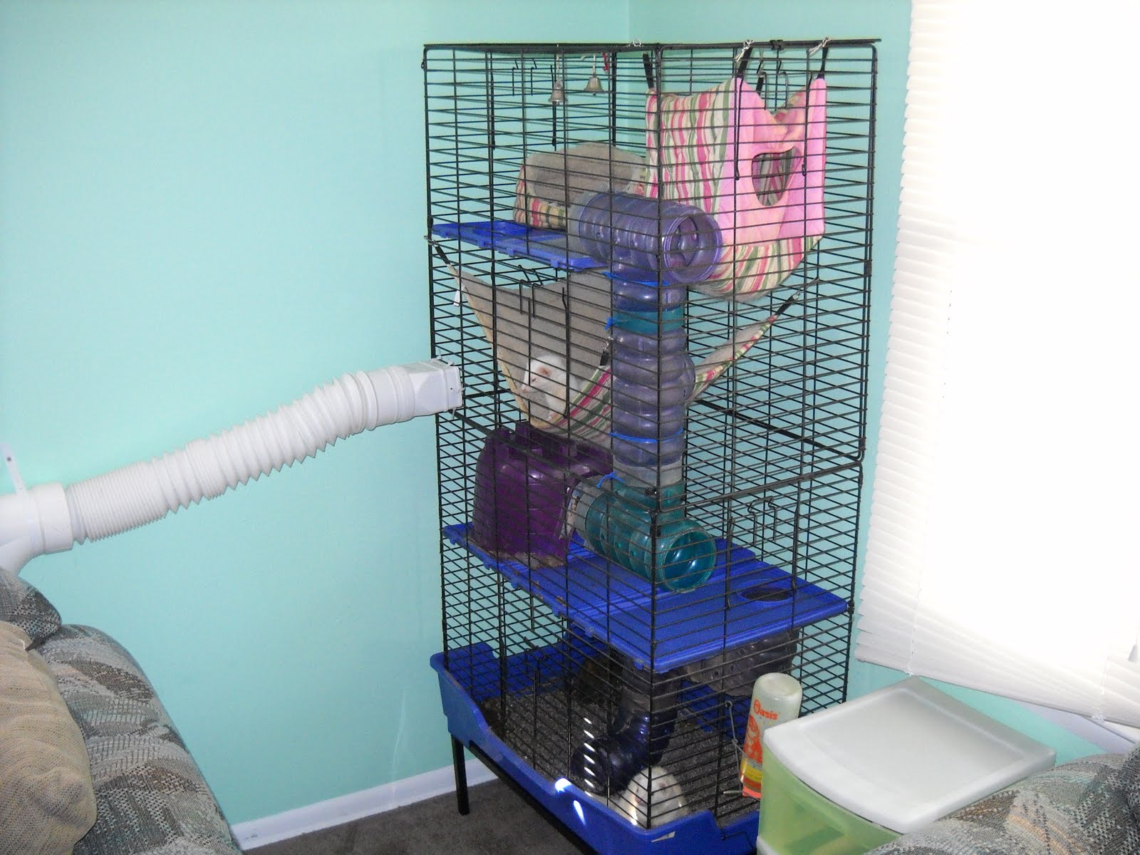 DIY Daddy: Completed Project #1 Ferret Race Track