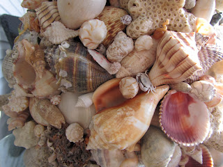 Connecting Pieces: Shell Lamp-Craft project