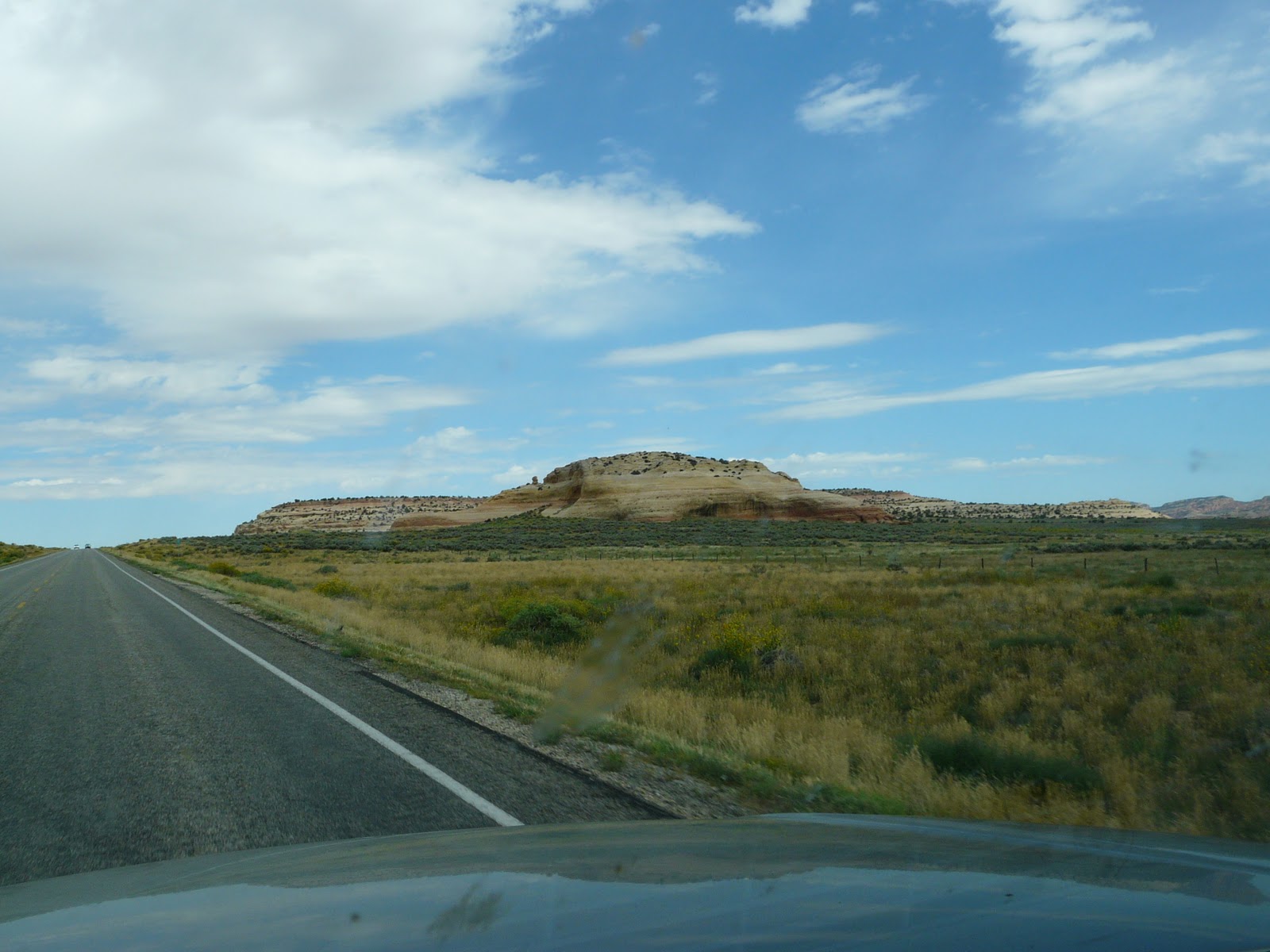 The Big Adventure - Life in Holland!: Turtle Rock and Mrs. Butterworth ...