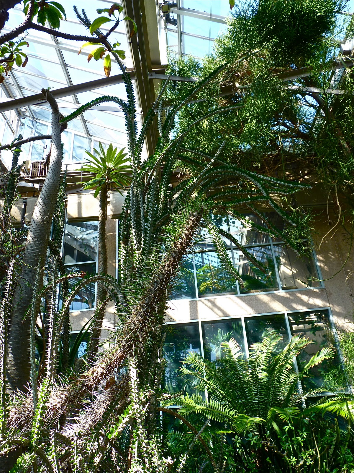 floraphile: A Superficial Tour of Floraphile Heaven: The Dorothy ...