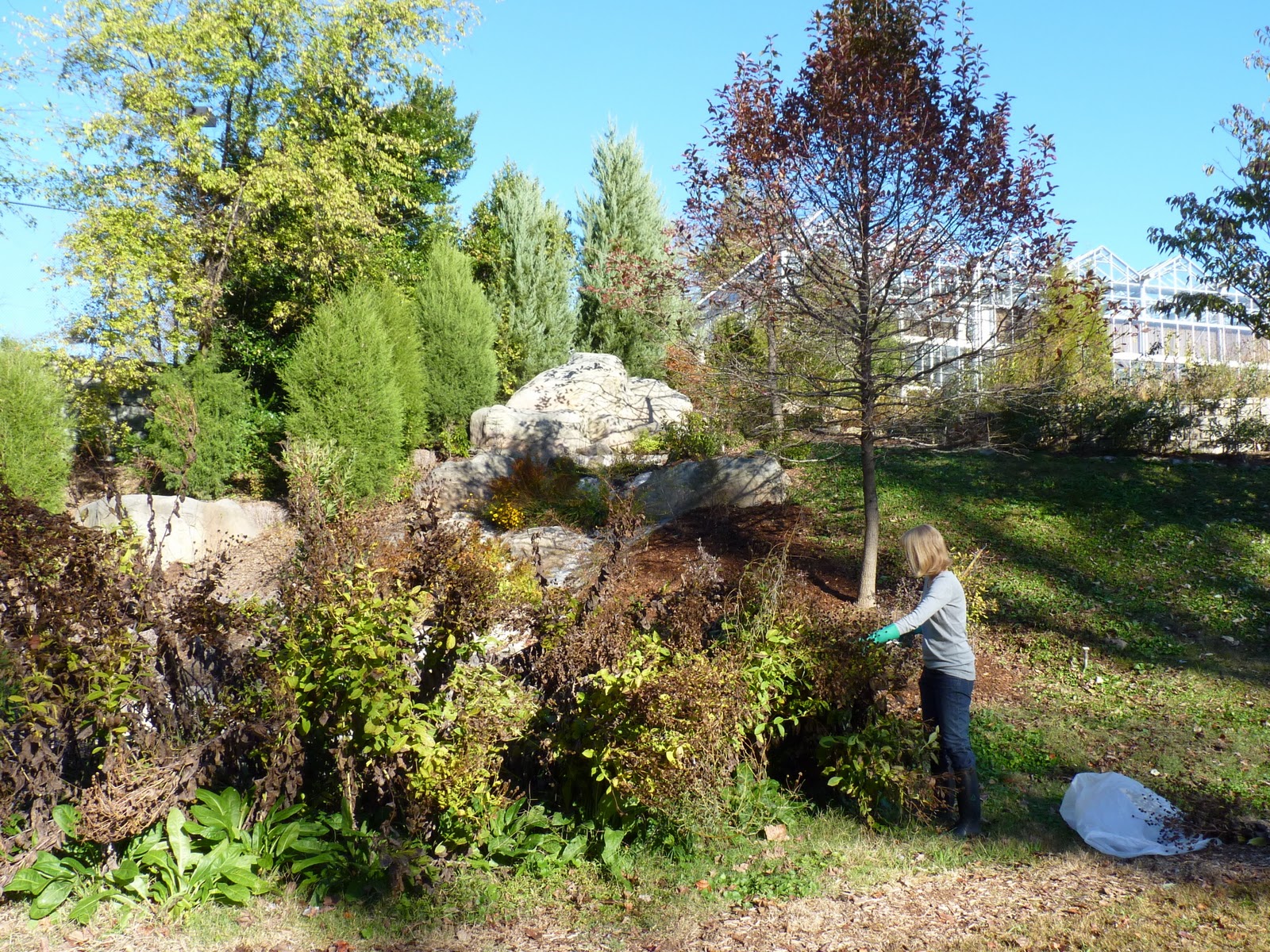 floraphile: A Superficial Tour of Floraphile Heaven: The Dorothy ...