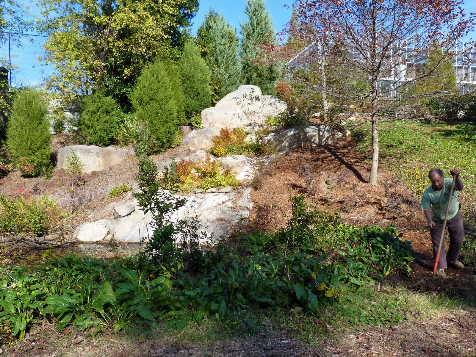 floraphile: A Superficial Tour of Floraphile Heaven: The Dorothy ...