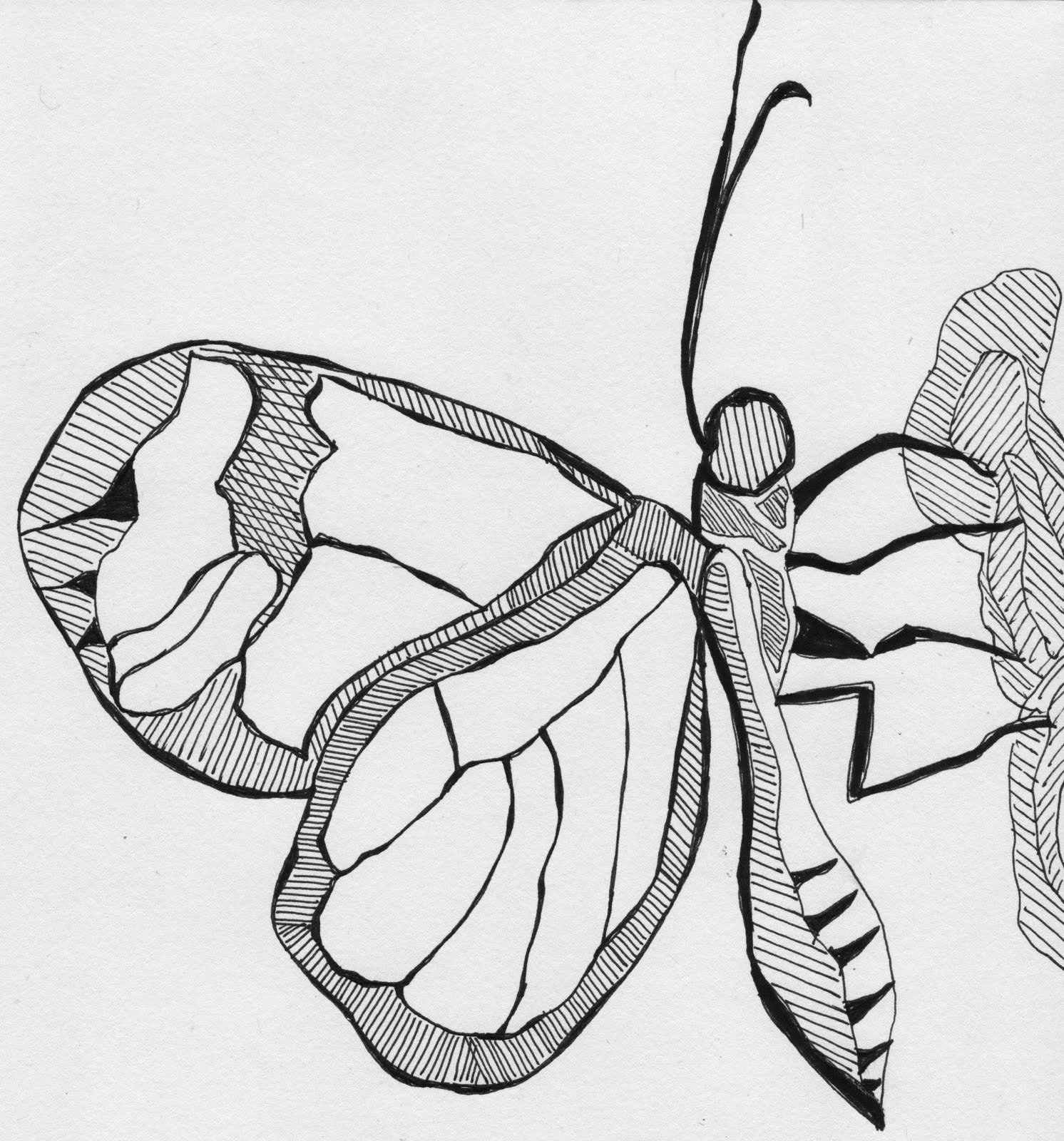 Titillate and Create: Day 6 Doodles: A Ballet of Butterflies