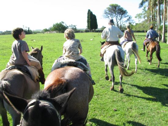 Oconner blog: horse back riding