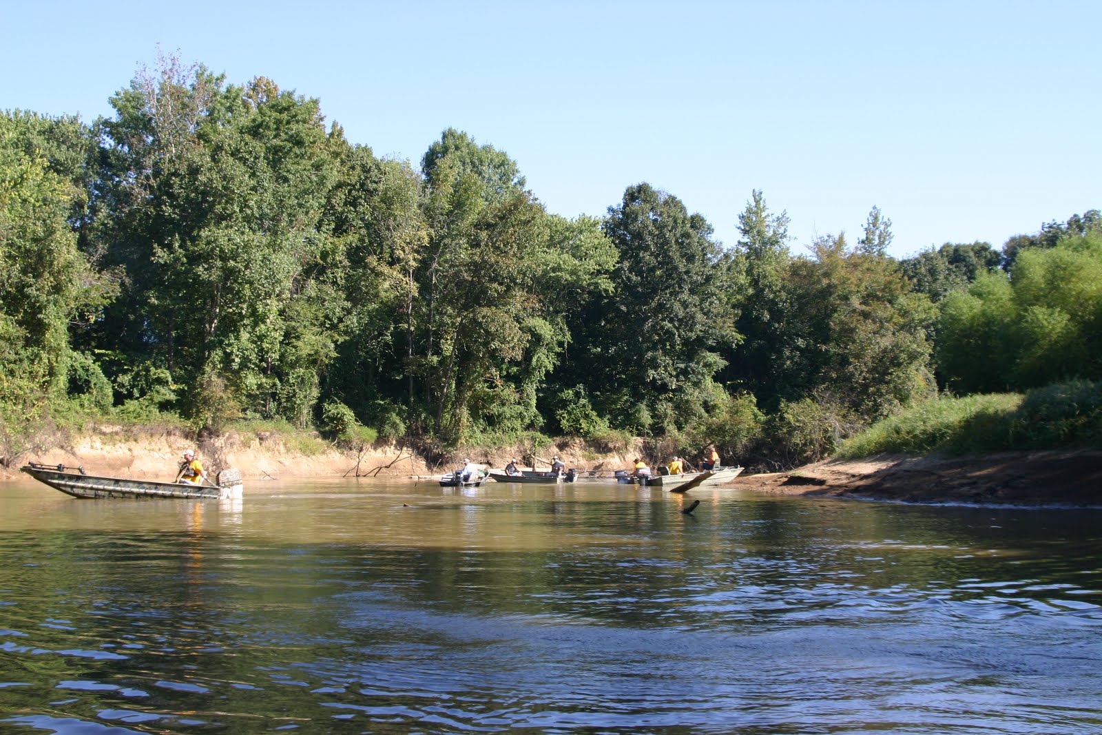 Tennessee's Scenic Hatchie River: Hatchie Clean up number 2