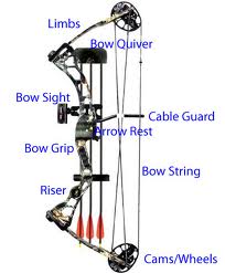 Lebo Archery: Jenis Busur Panahan