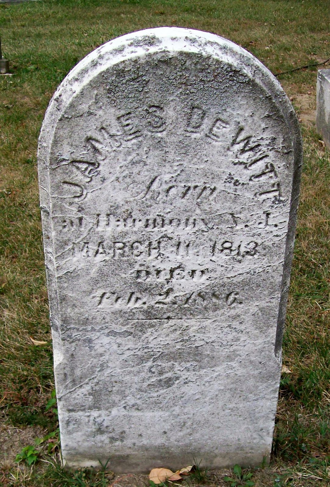 Graveyard Rabbit of Sandusky Bay: James Dewitt, pioneer settler of ...