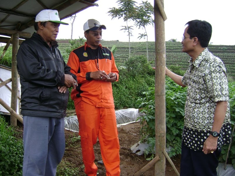 BENIH KENTANG