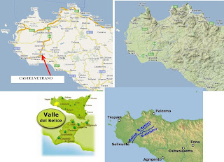 gastronomichael: "Castelvetrano Olives" - Nocellara del Belice : san ...