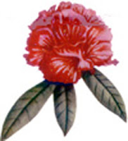 NEPAL: National Signs