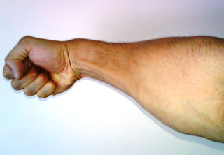 Wrist Exercises: Wrist Exercises - 7 Great Exercises To Build Powerful ...