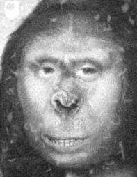 Kisah Zana - Bigfoot Rusia yang melahirkan anak-anak dari manusia ...