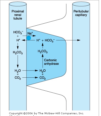 learn anesthesia and have fun: simlpe and practical approach to acid ...