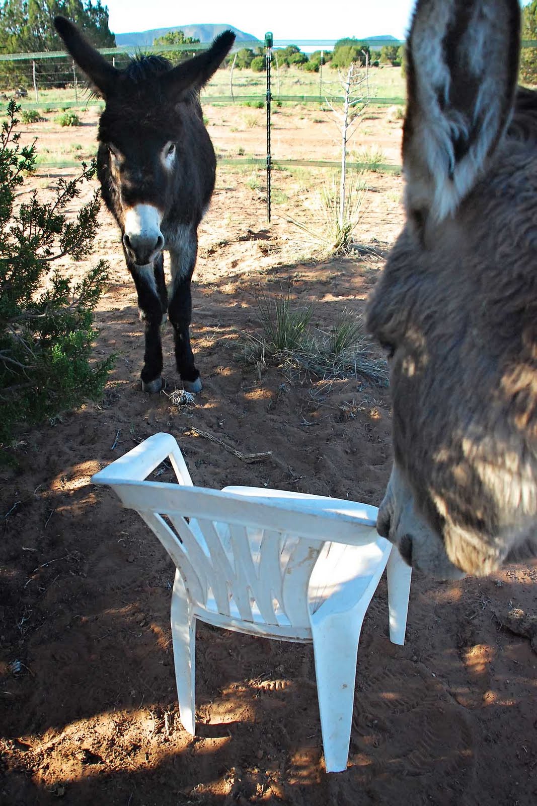 The 7MSN Ranch: This seat is taken