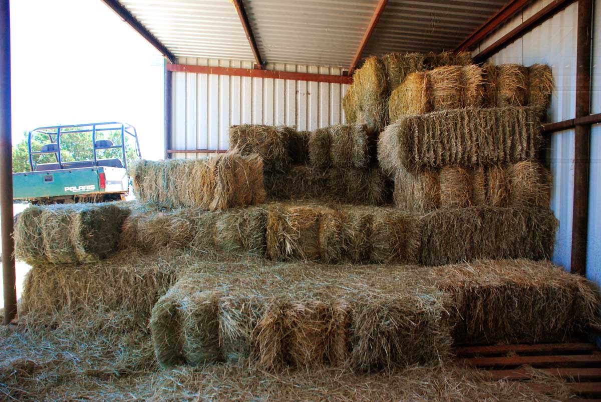 The 7MSN Ranch: Hay hay hay! Let's have a giveaway!