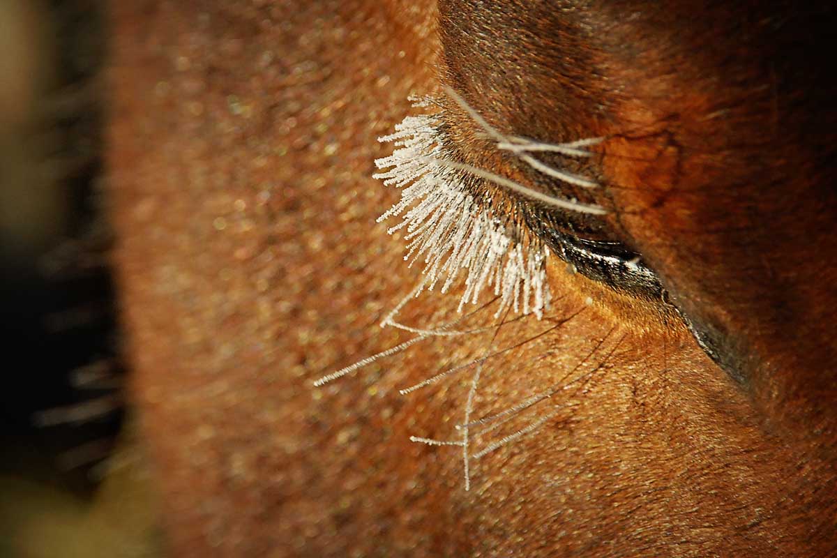 The 7MSN Ranch: The 7MSN at minus 27 degrees