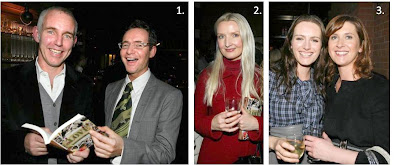 Social Dublin: Love in a Damp Climate