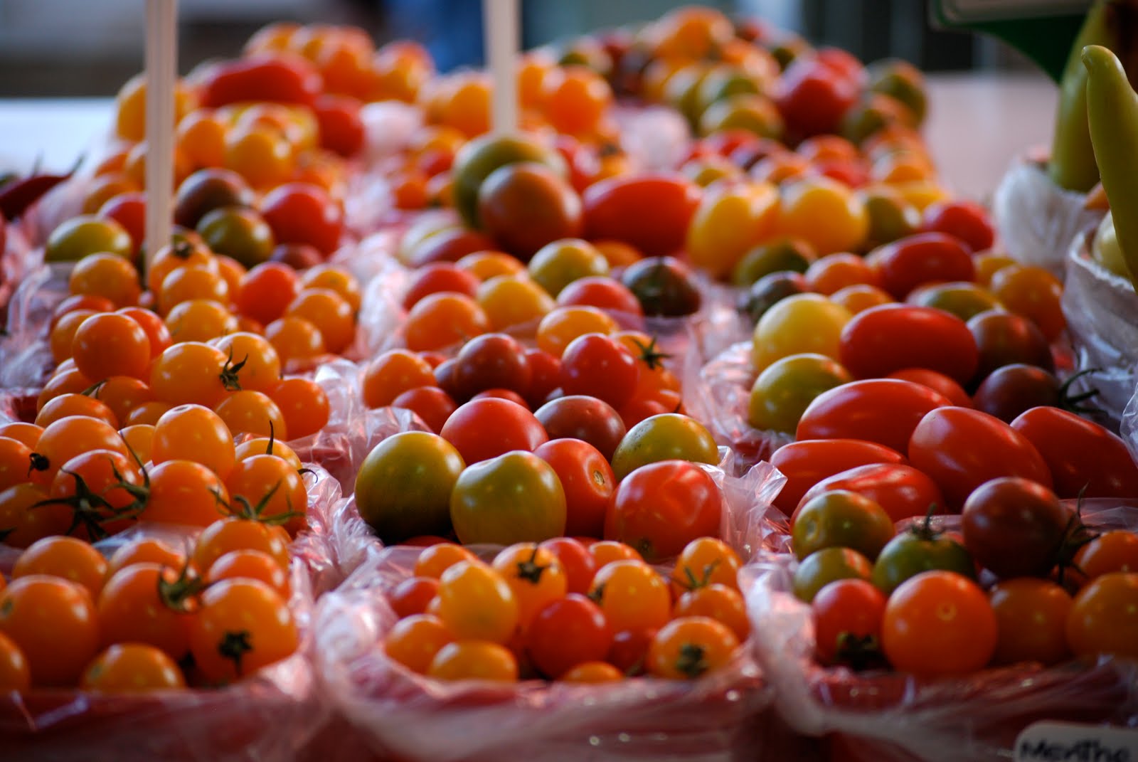 Three Little Hungry Birds: A trip to the Organic Farmer's Market in Val ...