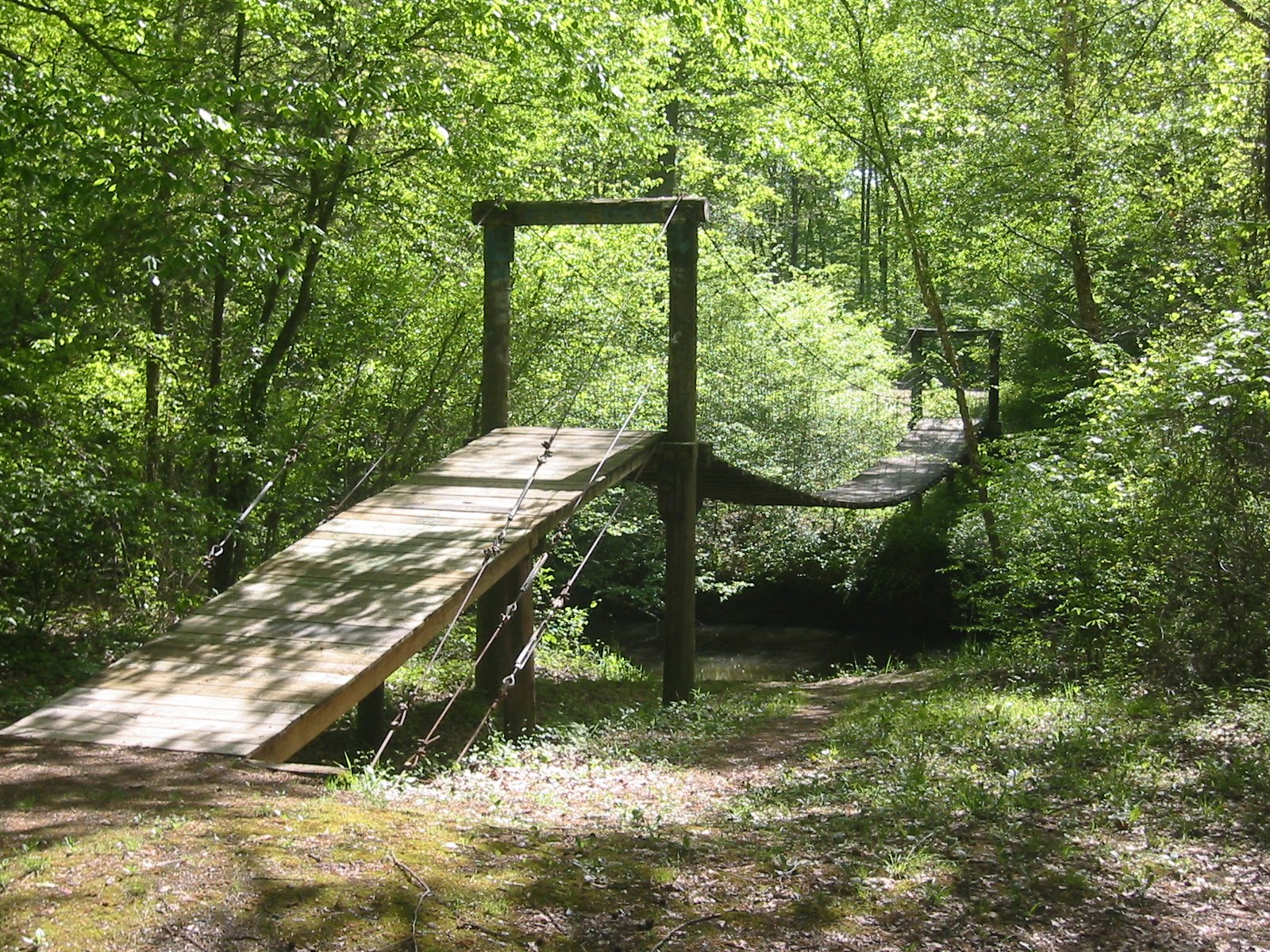 Select The Forest For Future: Cumberland State Forest