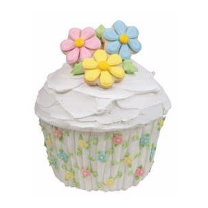 SPRINKLES AND PUFFBALLS: Cake and Ice Cream