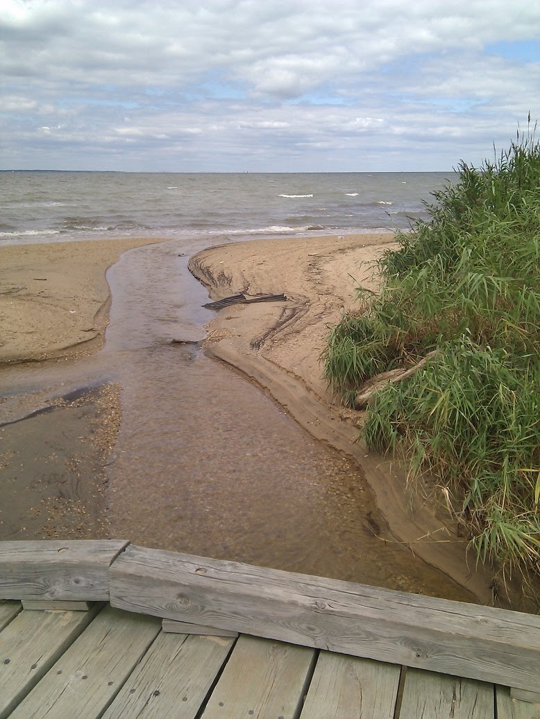 Vegan Epicurean: Friday the beach and dinner out