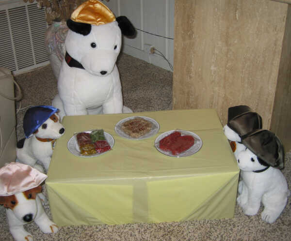 If It's Hip, It's Here (Archives): Bark Mitzvahs: a Canine's Coming of Age?