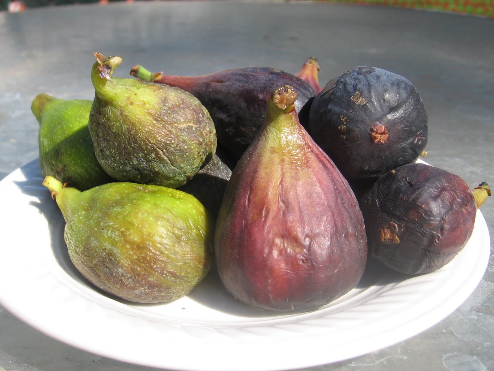 A fixation with figs – The Minnesota Daily