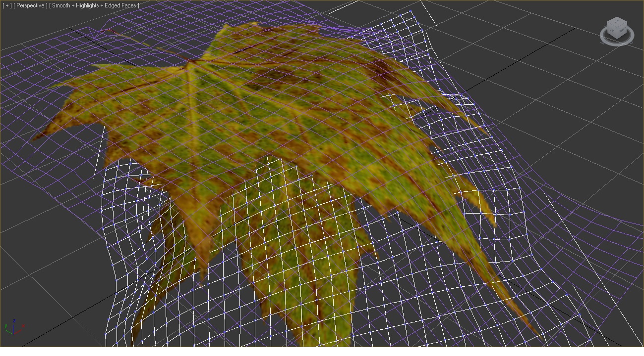 3D Modelling & Animation: Leaf Tutorial