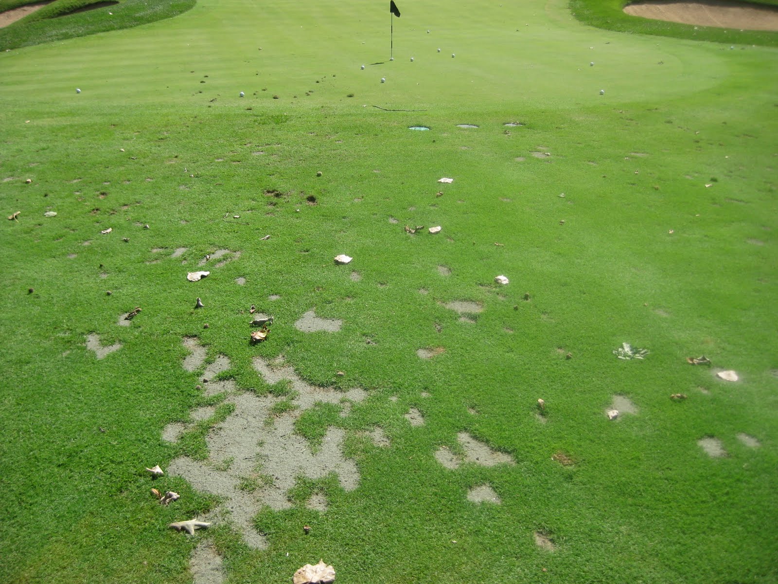 Northmoor Country Club Golf Course Operations: September 2010