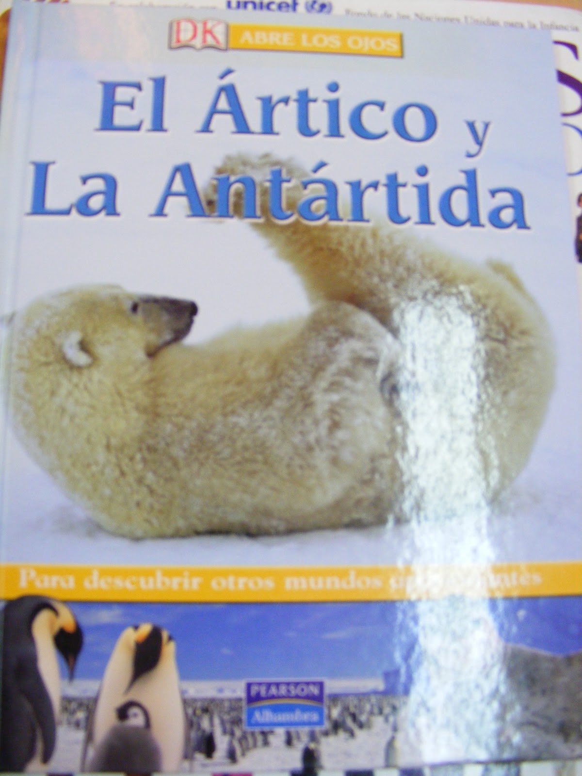 AULA DE INFANTIL: LIBROS PARA TRABAJAR EL PROYECTO DE LOS INUIT Y LOS POLOS