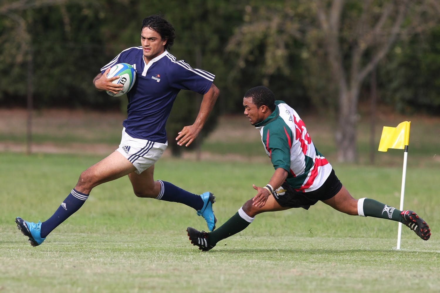 - Roca Rugby Club -: Victoria de Pampas XV ante SWD Eagles