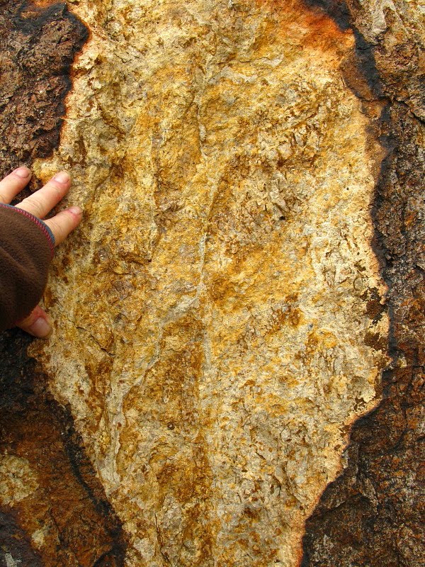 Looking For Detachment: Geology on the Road: Breccia with Flow-Banded ...