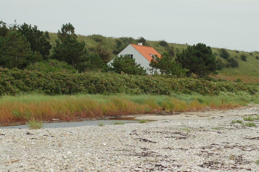 Thyra: Strands, Mols, East Jutland