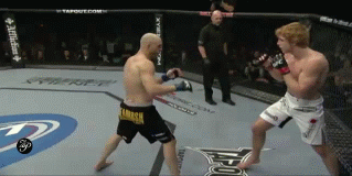 Sean Pierson vs Matt Riddle - UFC 124: Teh Gifs ~ Campizone MMA
