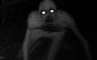 Strange Creature Hunter Photography in USA. Animal ¿odd or Advertising ...