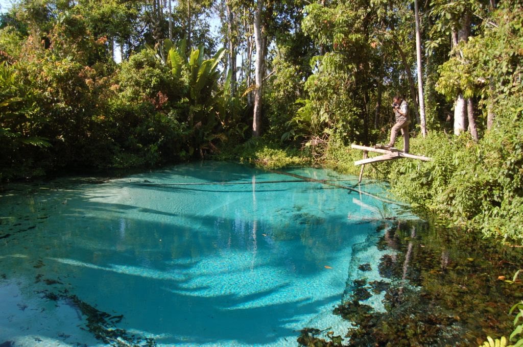 O que é? REBIO - Reserva Biológica